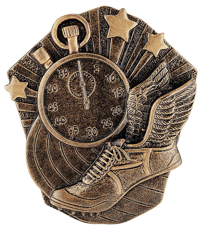 Track - Recognition Plus