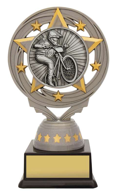 Silver Torch - Recognition Plus