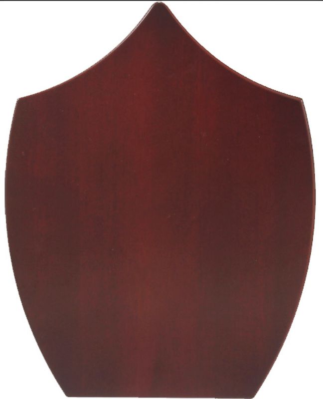 Shield Perpetual - Recognition Plus