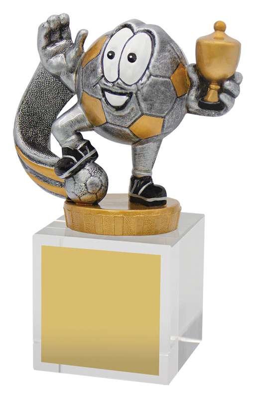 Budget Crystal - Recognition Plus