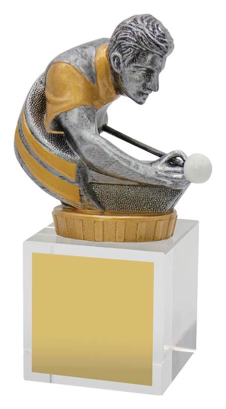 Budget Crystal - Recognition Plus