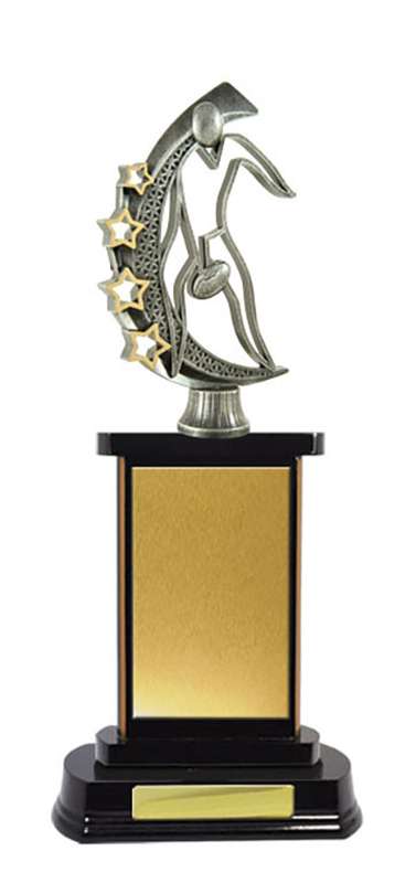 Timber Buildup Aussie Rules - Recognition Plus