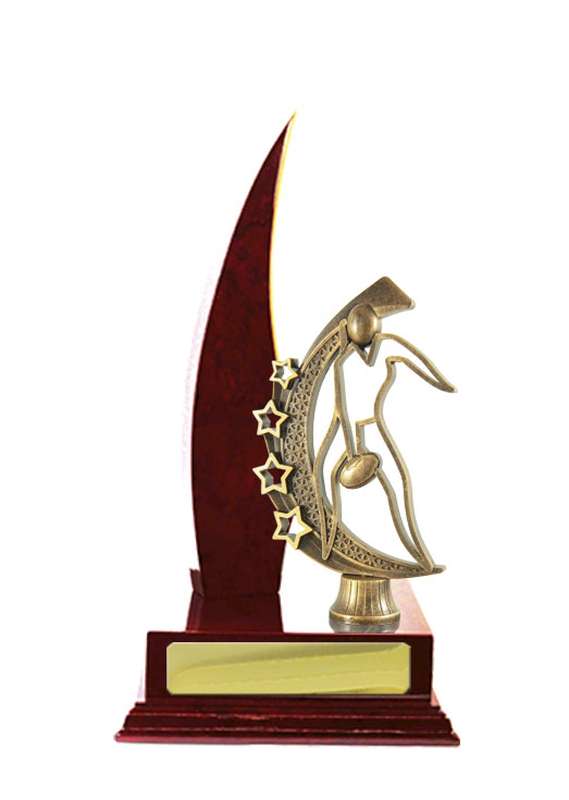 Timber Buildup Aussie Rules - Recognition Plus