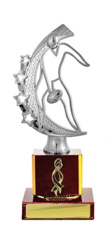 Timber Buildup Aussie Rules - Recognition Plus