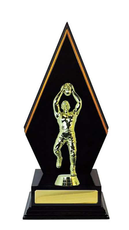 Timber Buildup Aussie Rules - Recognition Plus