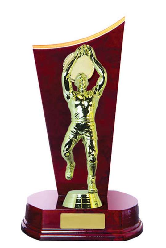 Timber Buildup Aussie Rules - Recognition Plus