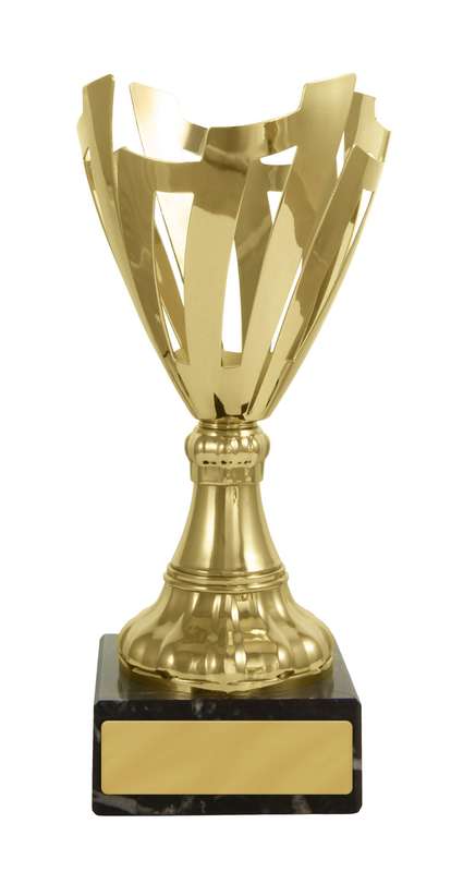 Nest Cup - Recognition Plus