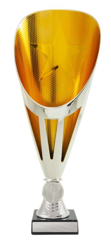 Dianna Cup - Recognition Plus