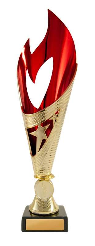 Flamenco Cup - Recognition Plus