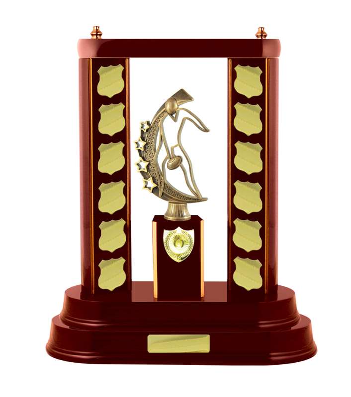 Timber Buildup Aussie Rules - Recognition Plus