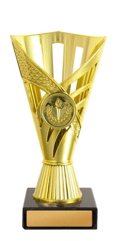 Dalia Cup - Recognition Plus