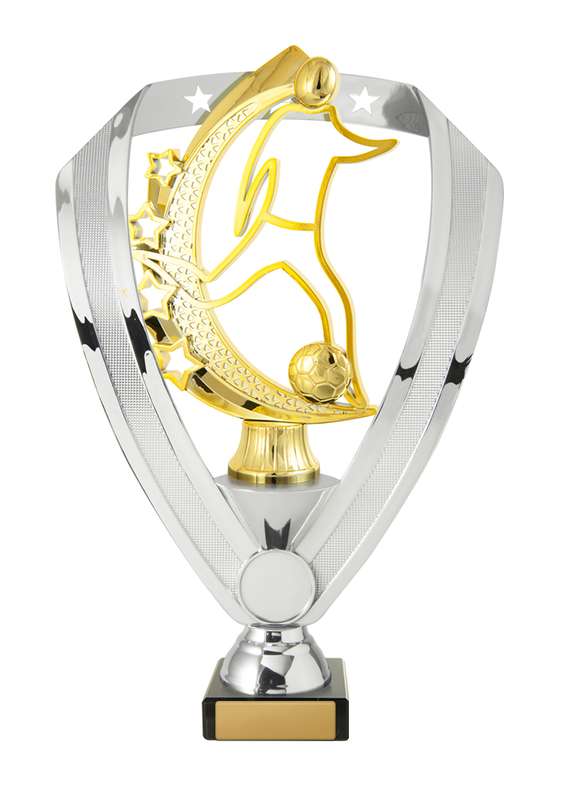 Backstand/Base/Football Male - Recognition Plus