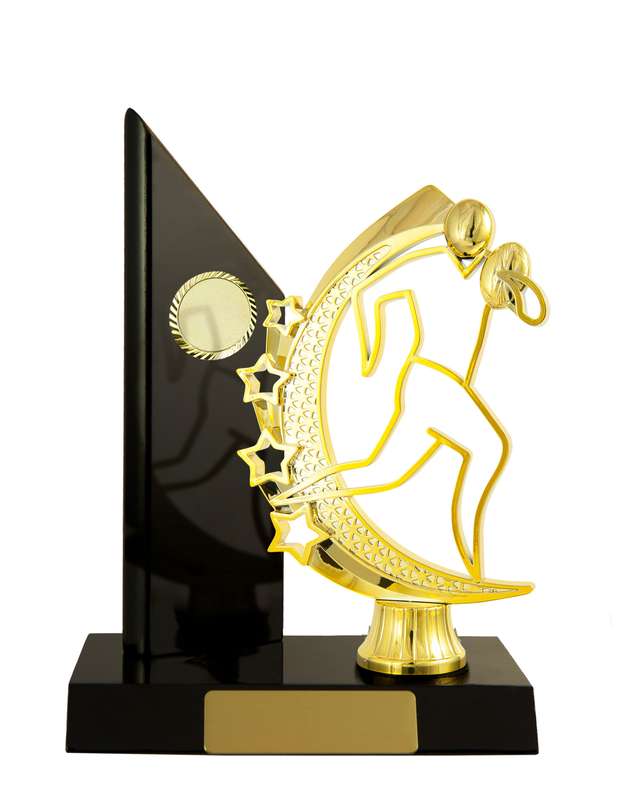 Timber Buildup Rugby - Recognition Plus