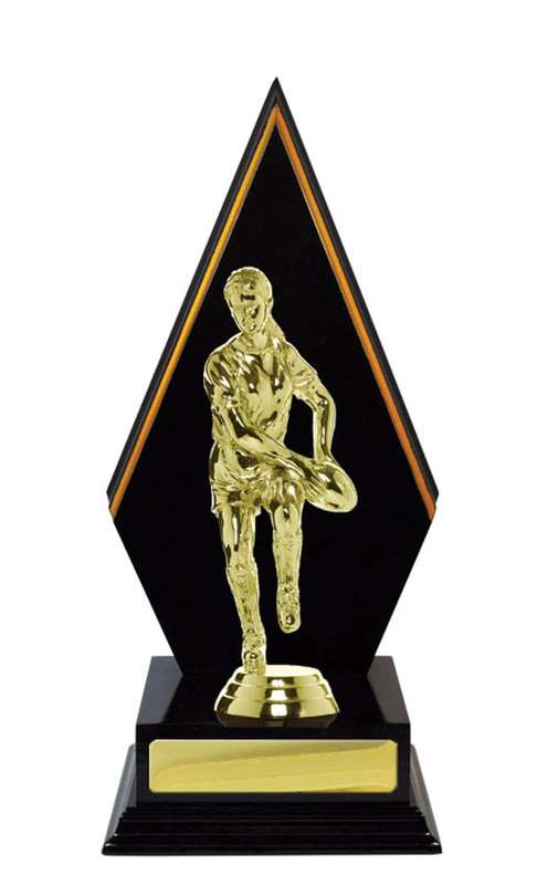 Timber Buildup Rugby - Recognition Plus