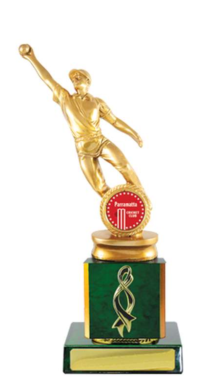 Timber Buildup Cricket Male - Recognition Plus