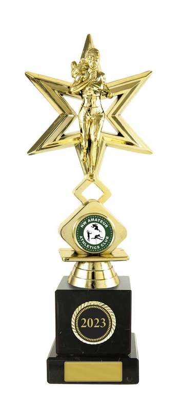 Figure/Column - Recognition Plus